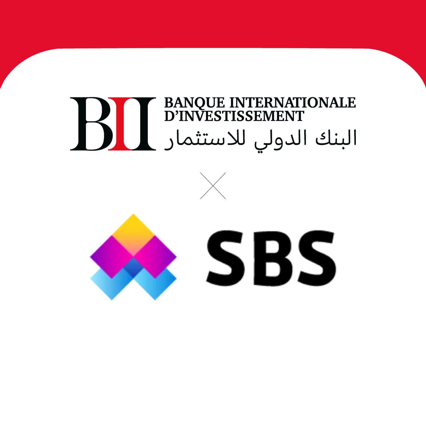 Banque Internationale d’Investissement (BII)
